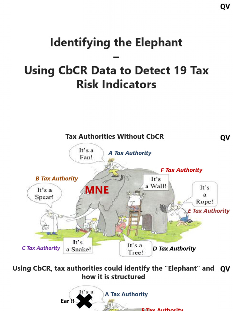 19 Tax Risk Indicators in CBCR | PDF | Taxes | Public Finance