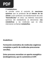 Ciclosis y Procesos Celulares Esenciales | PDF | Fotosíntesis ...