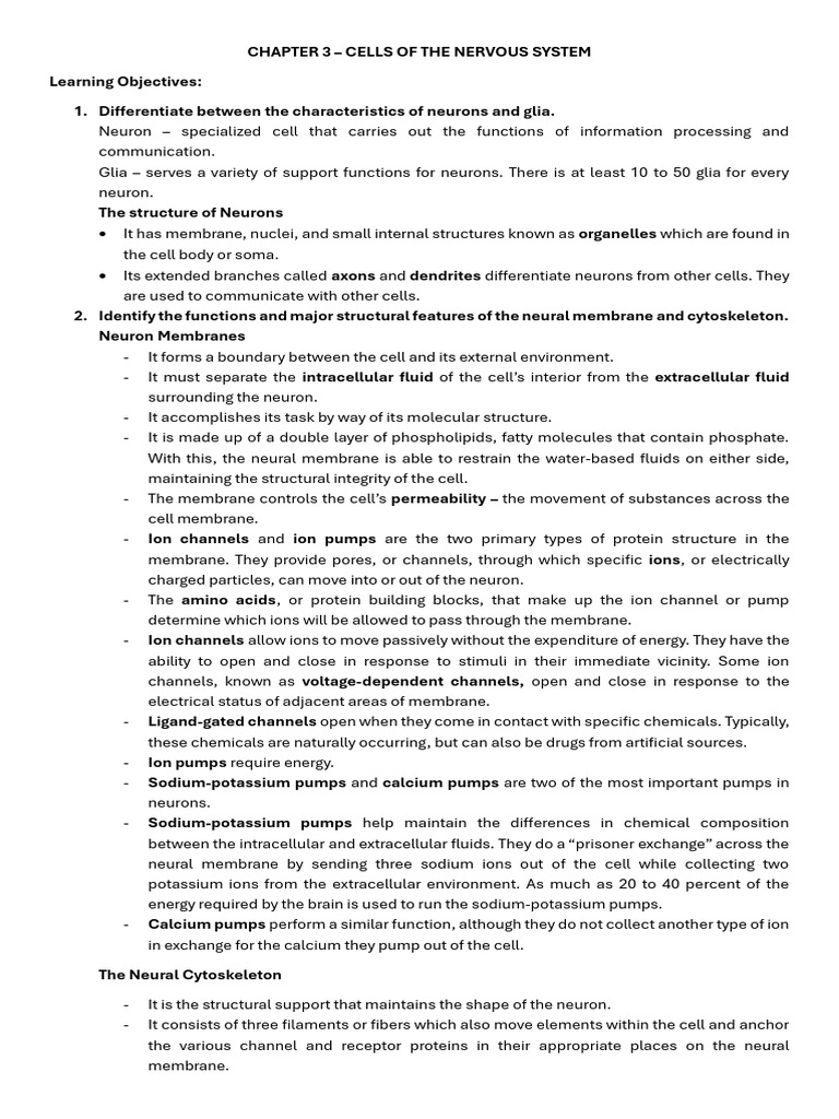 CHAPTER 3 - Cells in Nervous System Notes | PDF | Chemical Synapse ...