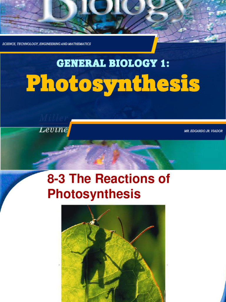 Gen Bio 1 Q2 Lesson 9.2 Photosynthesis Student | PDF | Wellness