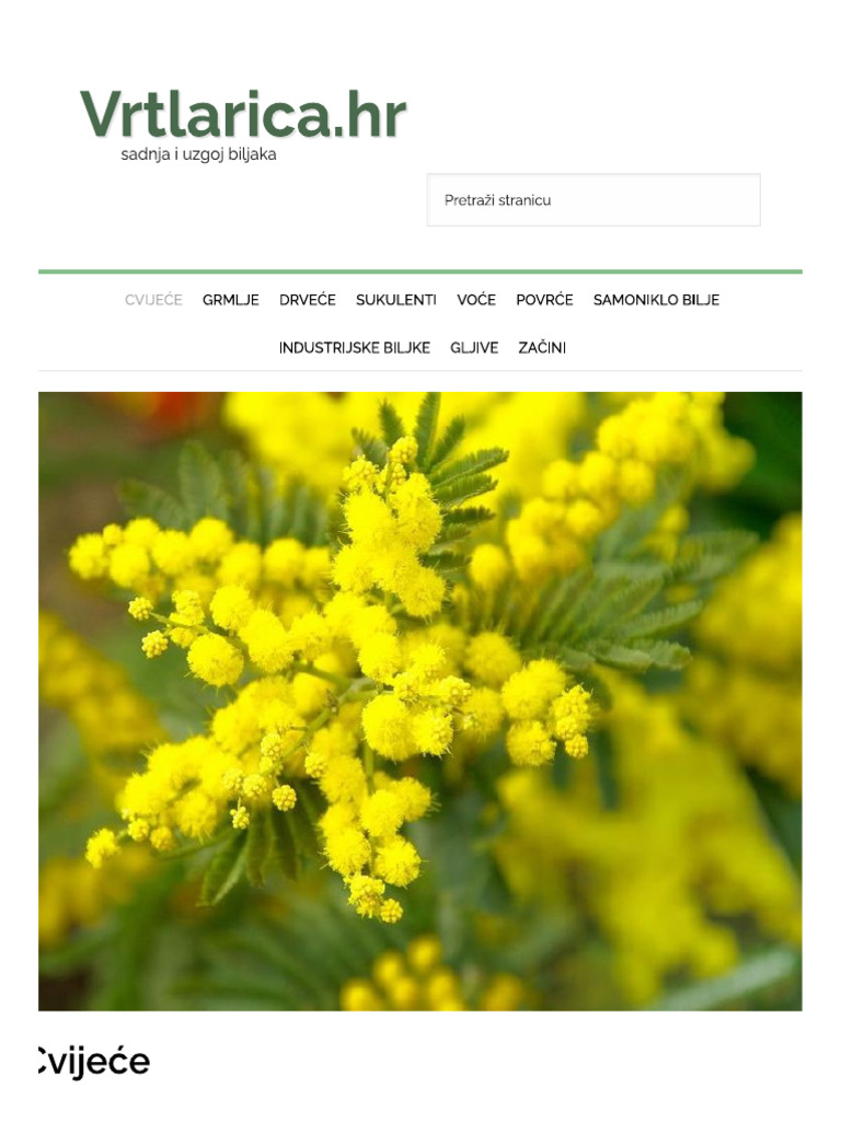 Sadnja I Uzgoj Cvijeća | PDF