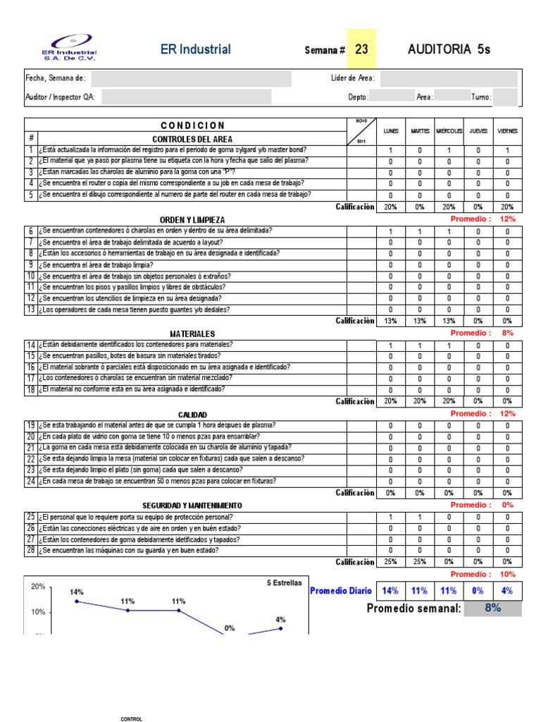 Reporte de Auditoria 5s