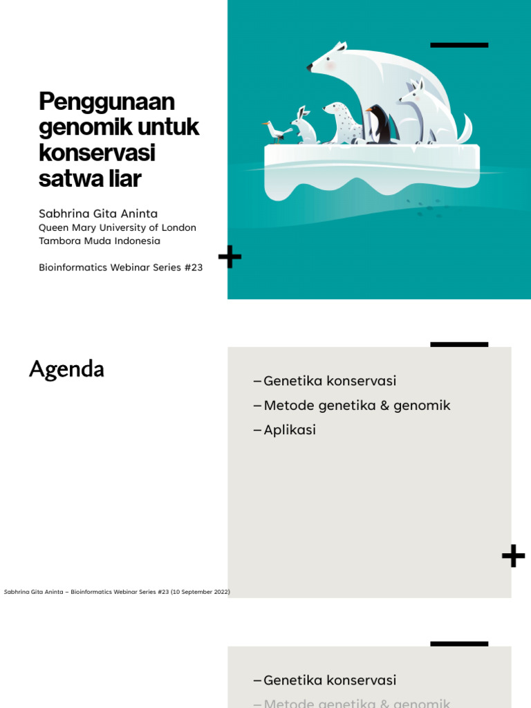 Aninta MABBI Popgen | PDF