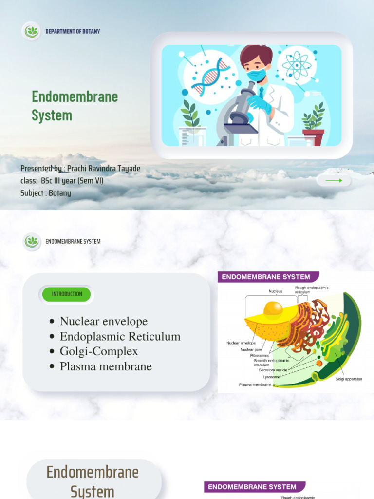 Overview of the Endomembrane System | PDF | Endoplasmic Reticulum ...