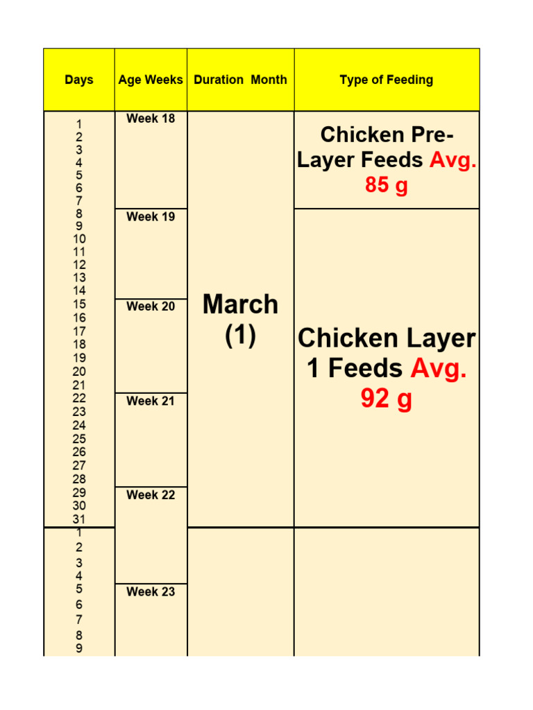 Layer Chicken Business Planning Calculator - Final Version 2022 | PDF