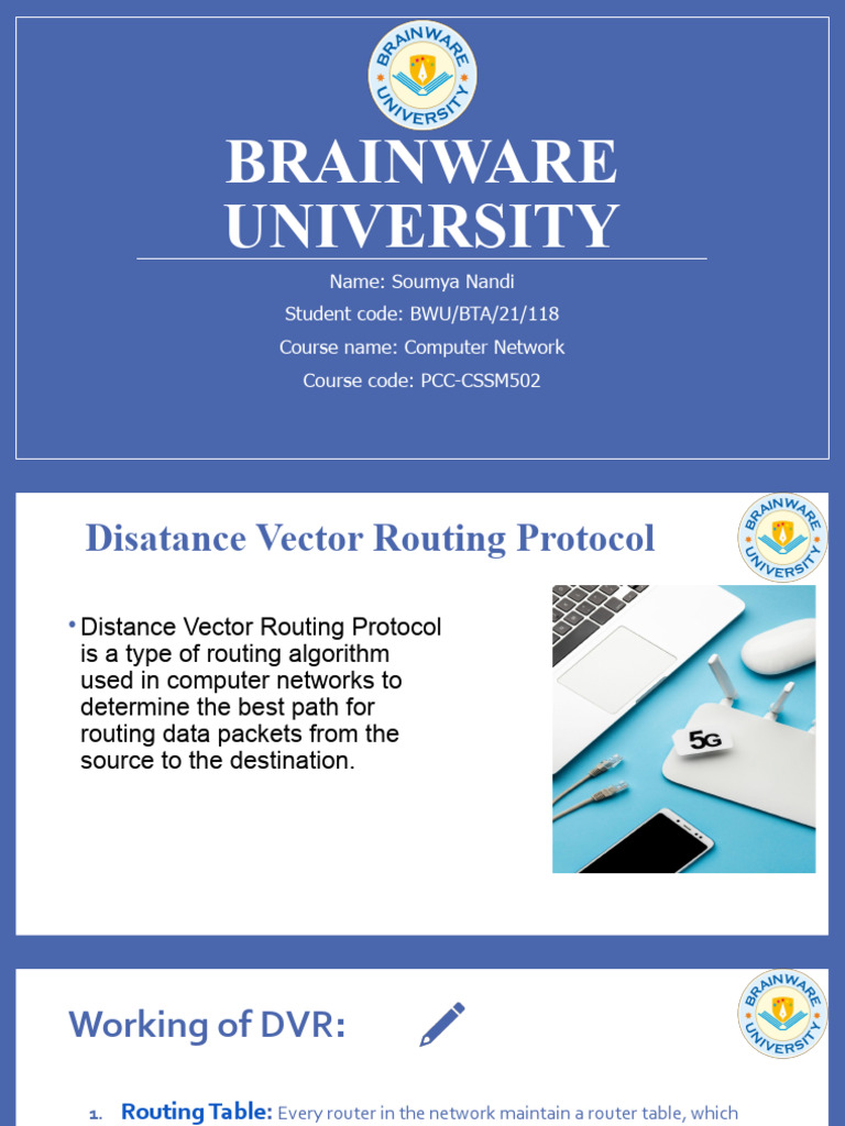 BWU BTA 21 118 Computer Network | PDF | Routing | Data Transmission