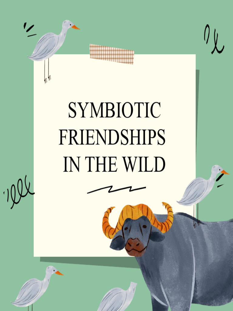 Symbiotic Relationships Story Book | PDF | Symbiosis | Ecology