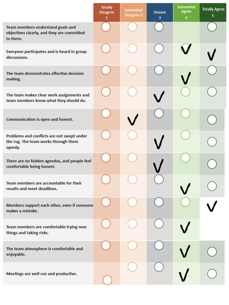 SECTION C Team Performance Assessment RRR | PDF