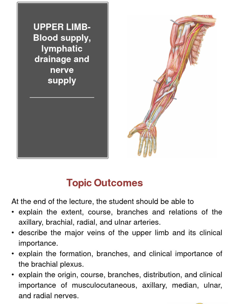 Blood Supply and Nerve Supply of Upper Limb | PDF | Arm | Hand