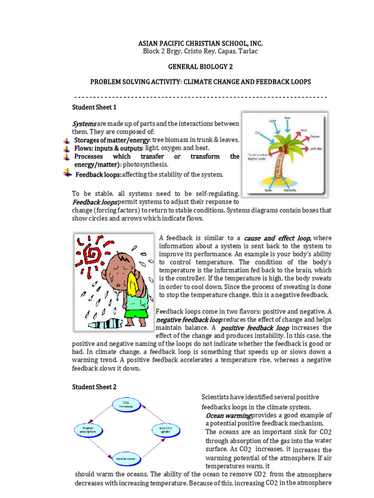 Activity On Feedback Loops | PDF | Climate Change | Cloud