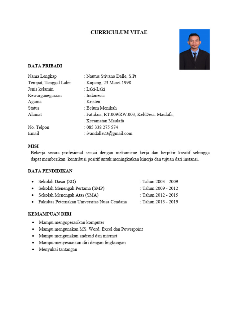 CURRICULUM VITAE IVAN | PDF