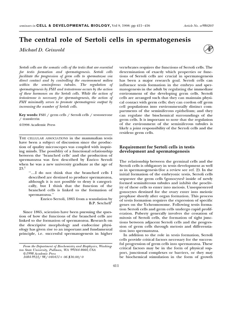 Spermatogénèse 1998 | PDF | Testicle | Animal Anatomy