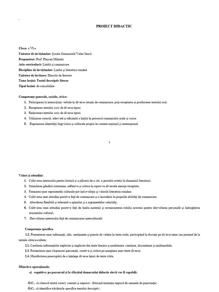 Text Descriptiv 6 Proiect | PDF