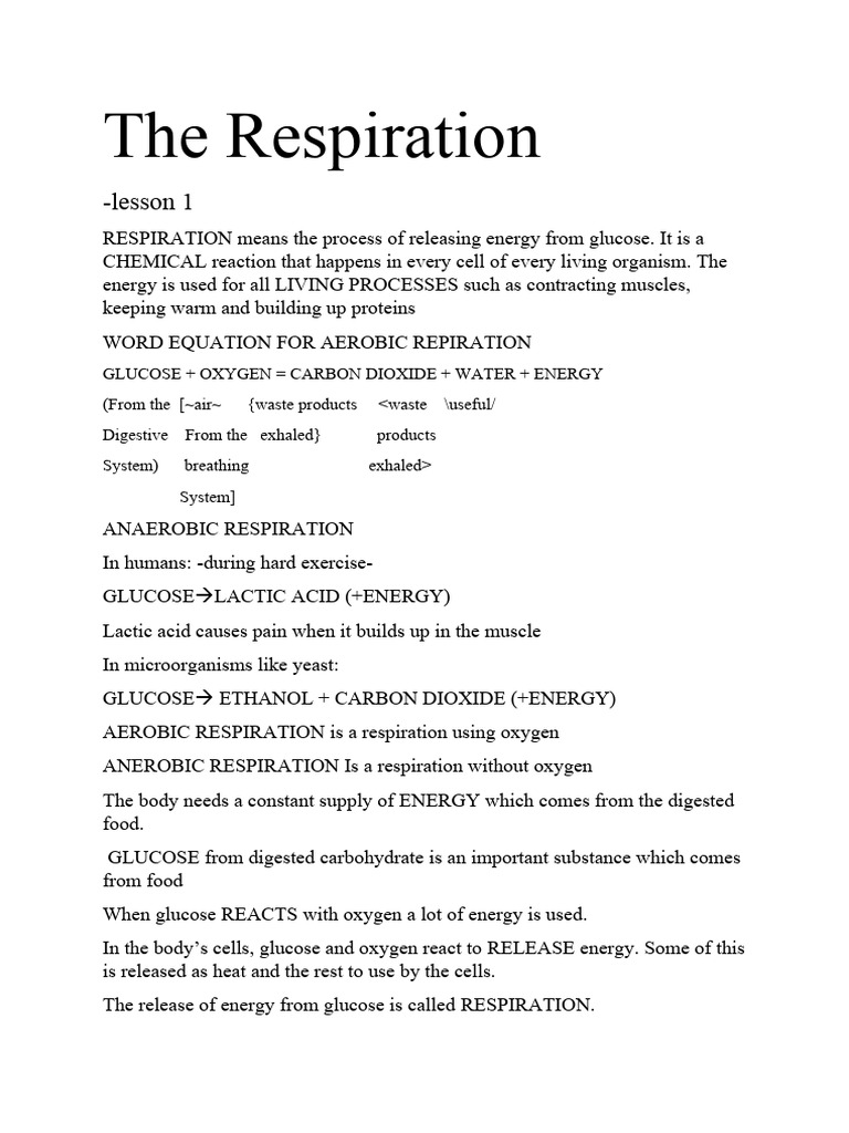 Understanding Respiration Processes | PDF | Cellular Respiration ...