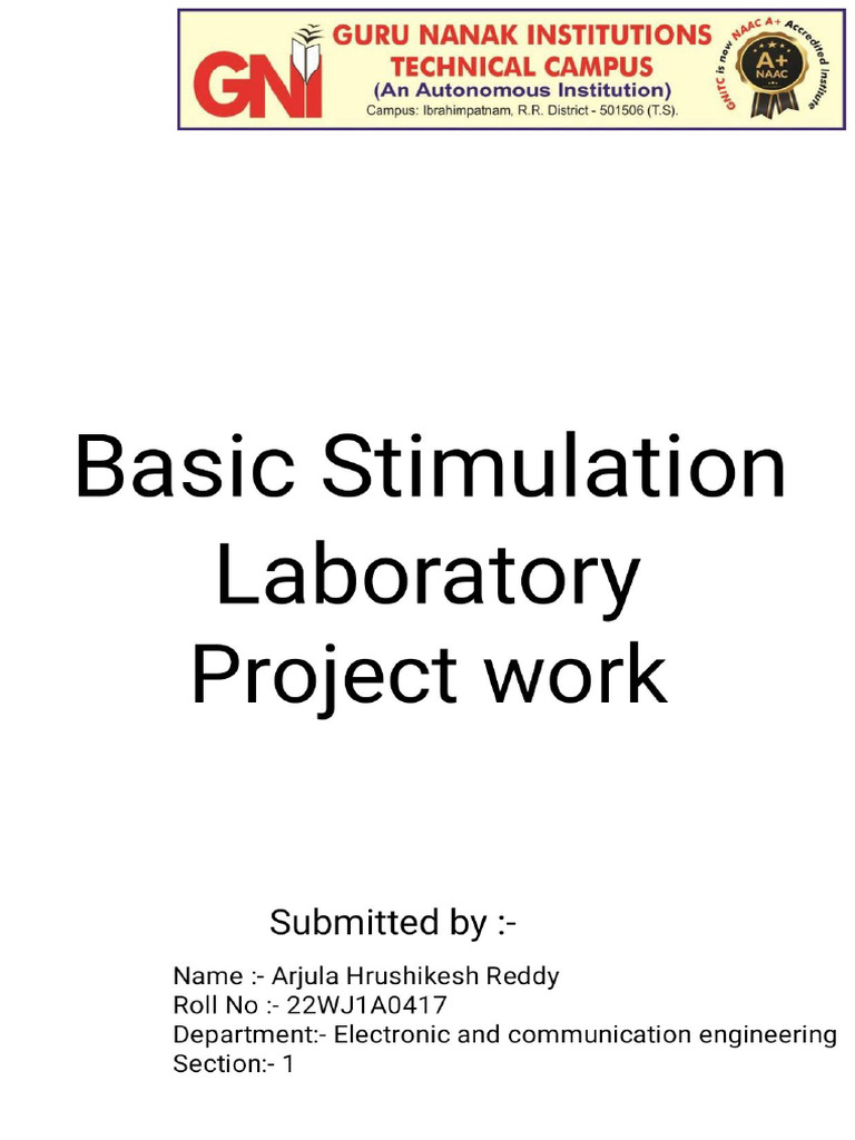 BS Project | PDF