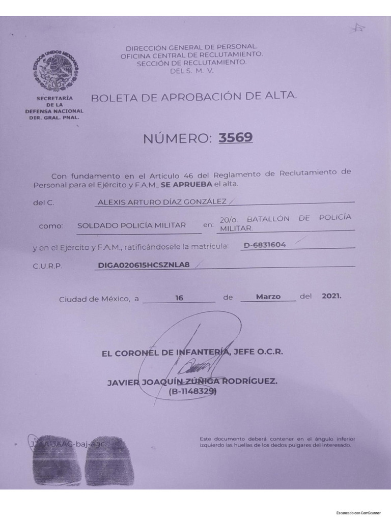 Boleta de Alta | PDF