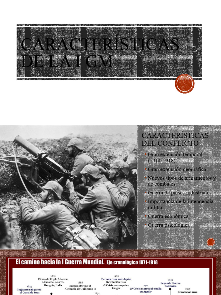 Características de La IGM | PDF
