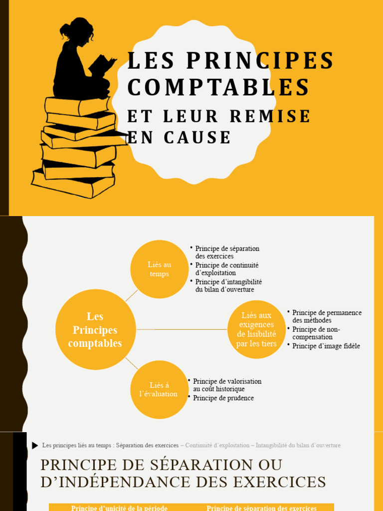 Les Principes Comptables | PDF | Comptabilité | Bilan comptable