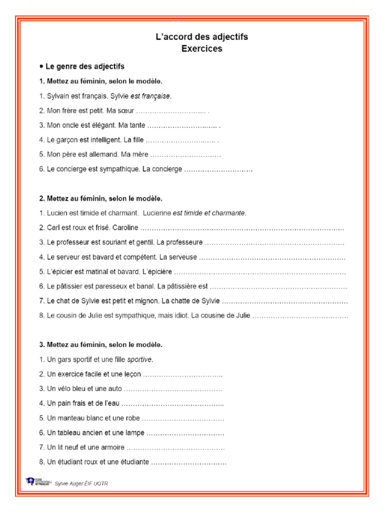 L'accord Des Adjectifs | PDF