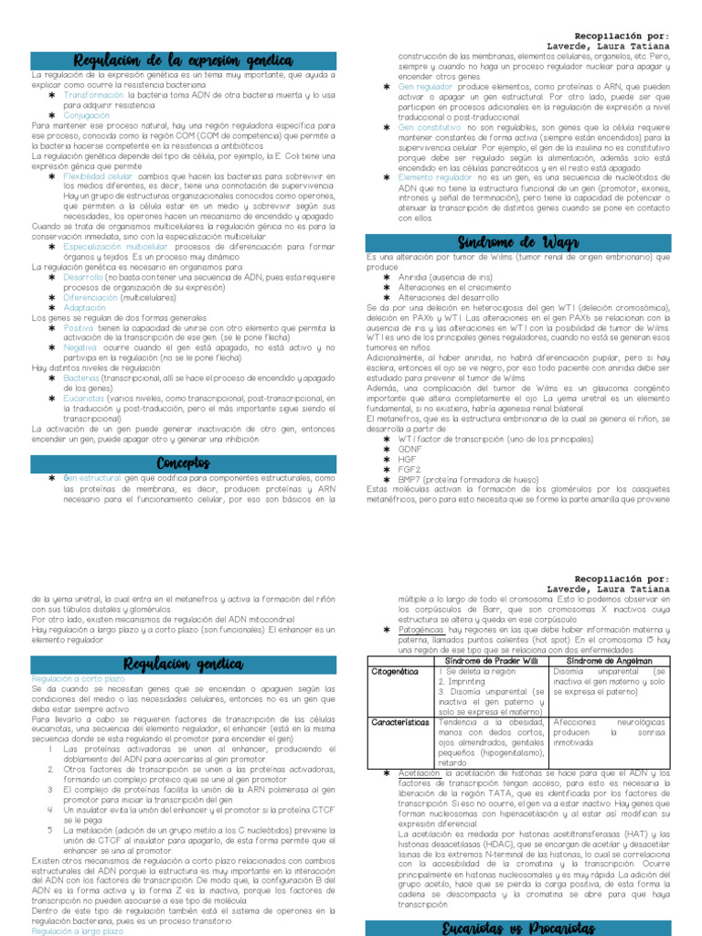 Genetics 2 | PDF | Adn | Gene