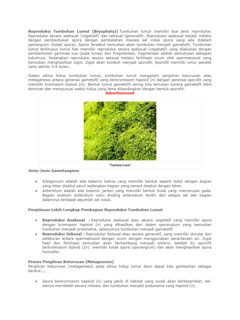 Reproduksi Tumbuhan Lumut: Metagenesis | PDF