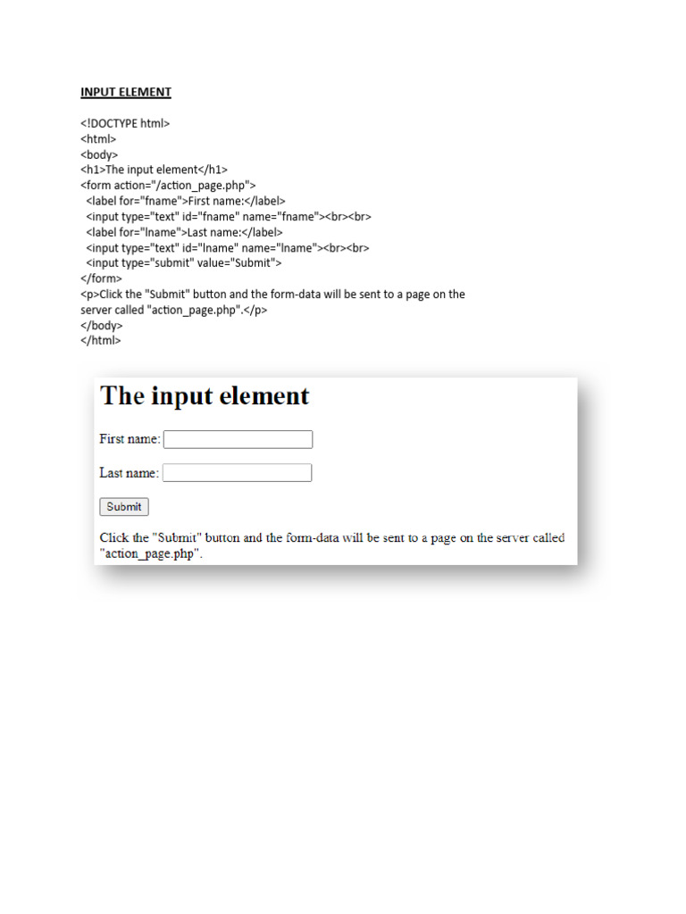 Activity 1 Input Checkbox Radio Pdf 5992