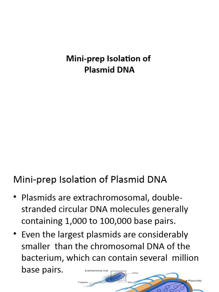 Mini-Prep Isolation of Plasmid DNA | PDF | Agarose Gel Electrophoresis | Gel Electrophoresis