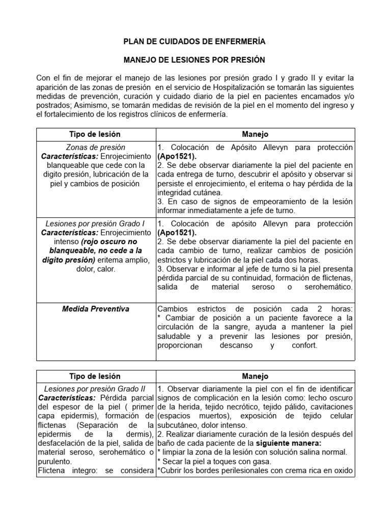 Plan de Cuidados LPP | Descargar gratis PDF | Herida | Medicina CLINICA