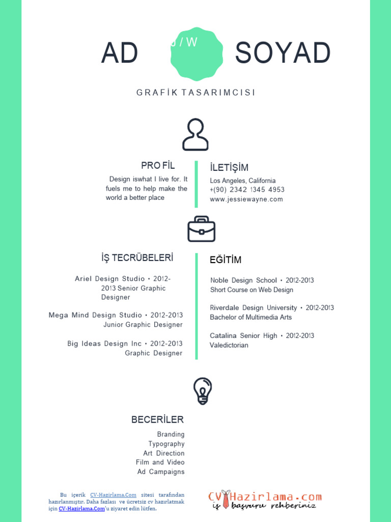 Ucretsiz CV Ornekleri Renkli CV Indir Orjinal CV Grafik Tasarimcisi | PDF