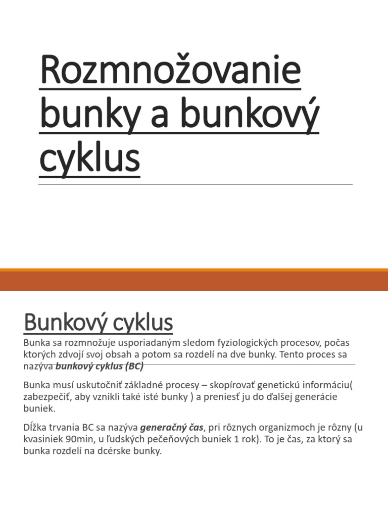 Bunkový Cyklus | PDF
