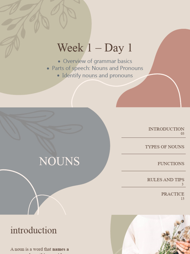 Grammar Basics: Nouns and Pronouns | PDF | Noun | Verb