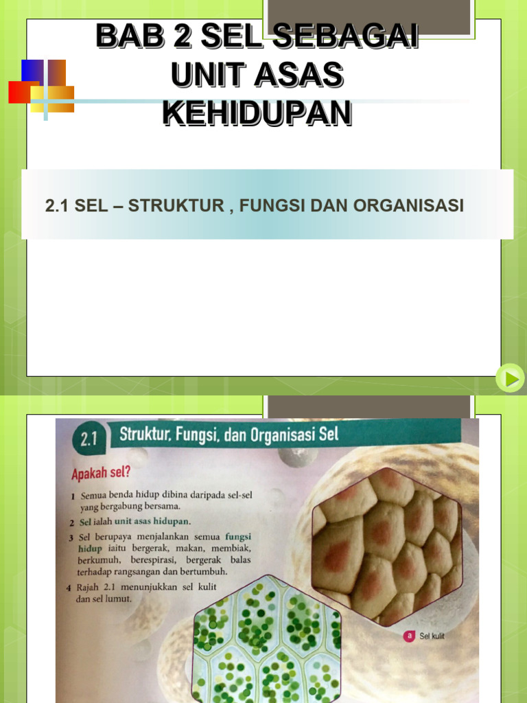 Nota Dan Powerpoint Bab 2 | PDF