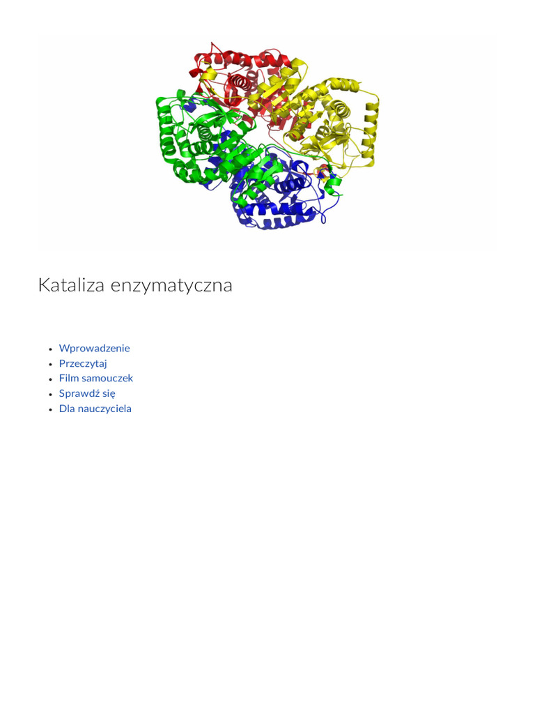 Kataliza Enzymatyczna | PDF