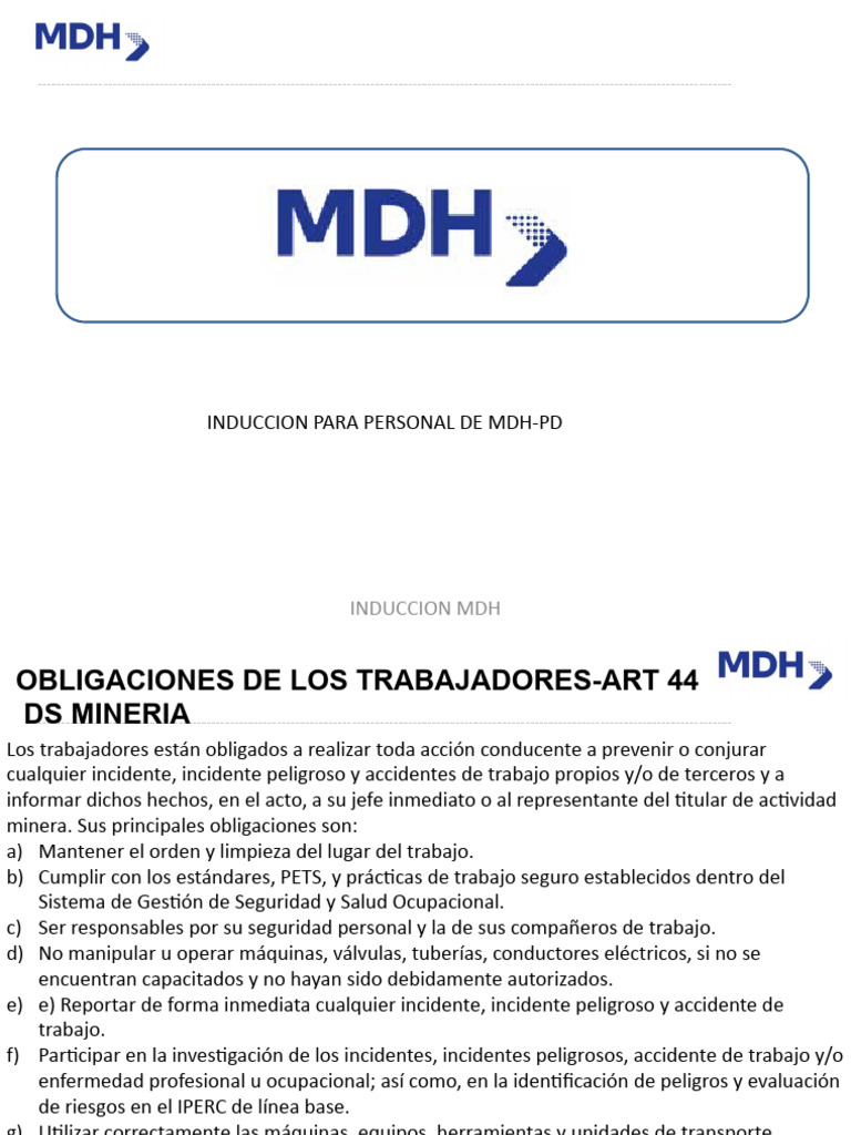 Presentacion Induccion 2024 MDH | PDF