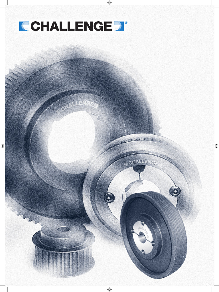 Challenge - Pulleys | PDF