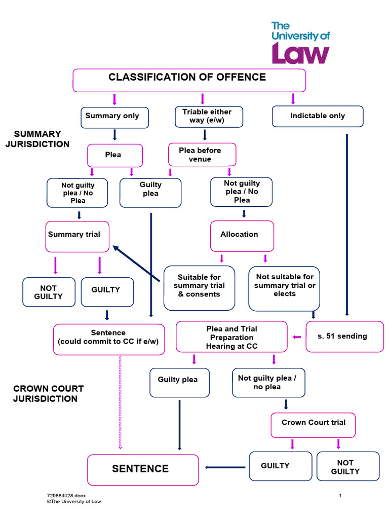 2324 Crim Unit01 Ce01 Criminal Litigation Process Flowchart | PDF