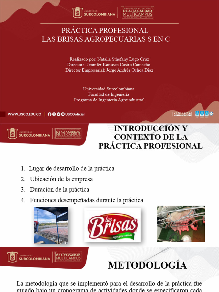 Sustentación Práctica Profesional | PDF