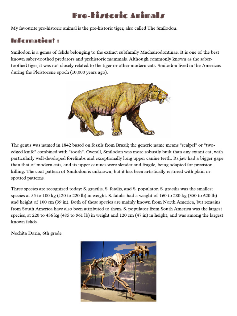 Smilodon: The Saber-Toothed Tiger | PDF