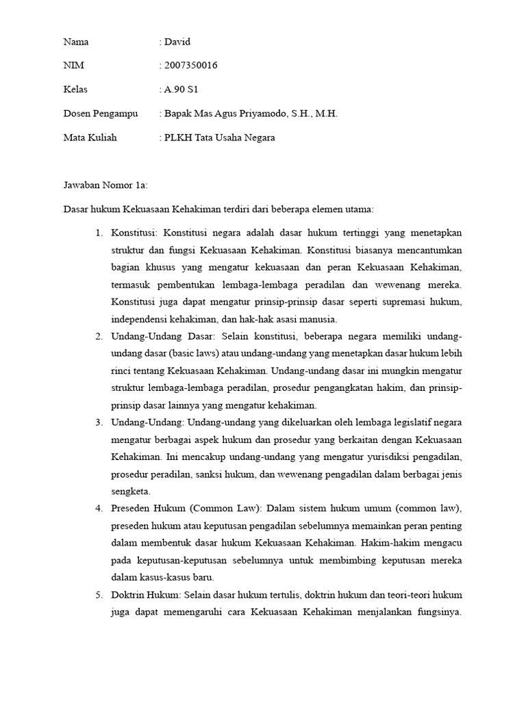 David - 2007350016 - PLKH Tata Usaha Negara | PDF | Ilmu Sosial | Hukum