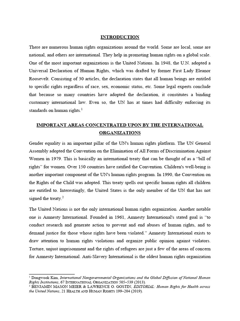 Role of International Organization in Human Rights | PDF | Human Rights ...