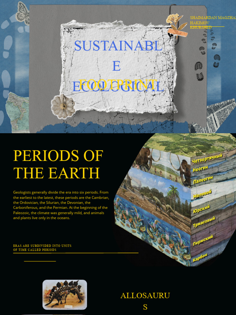 Sustainable Ecological Footprint | PDF