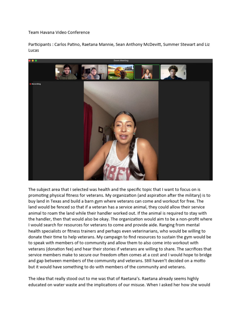 Team Havana Video Conference | PDF