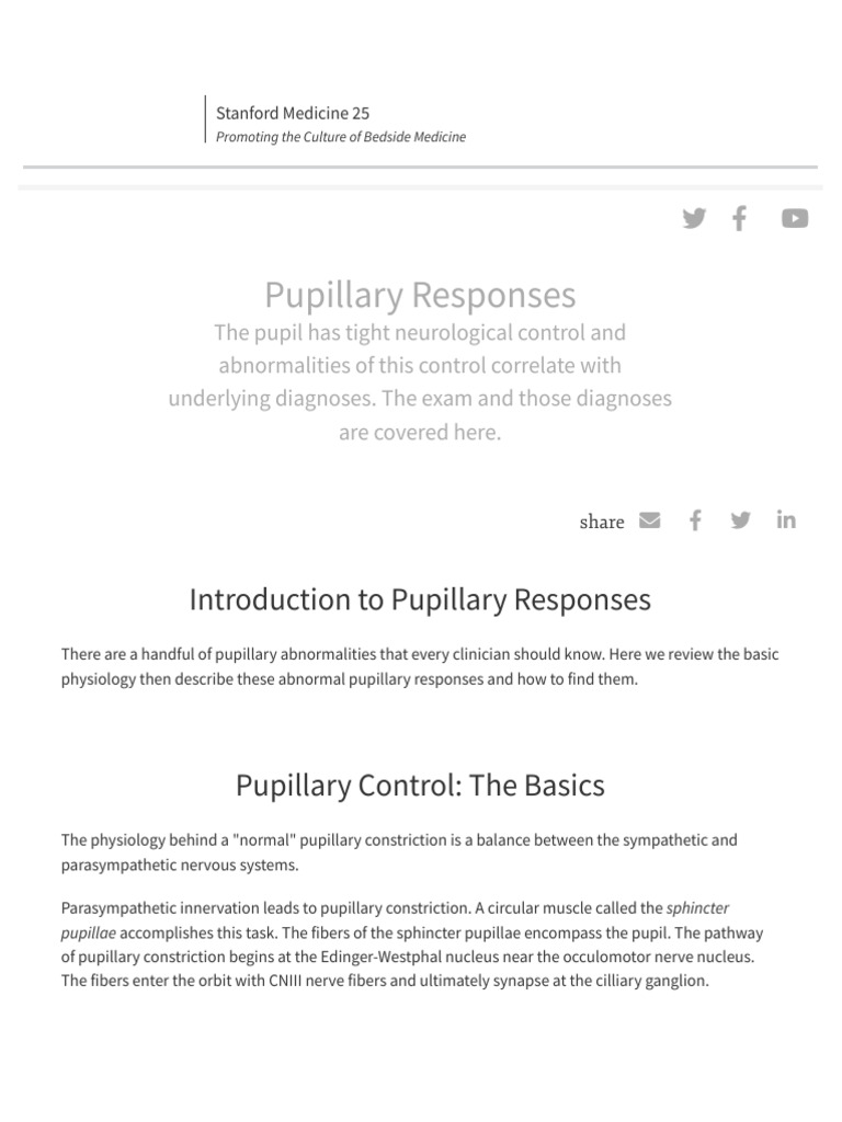 Pupillary Responses - Stanford Medicine 25 - Stanford Medicine - Https ...