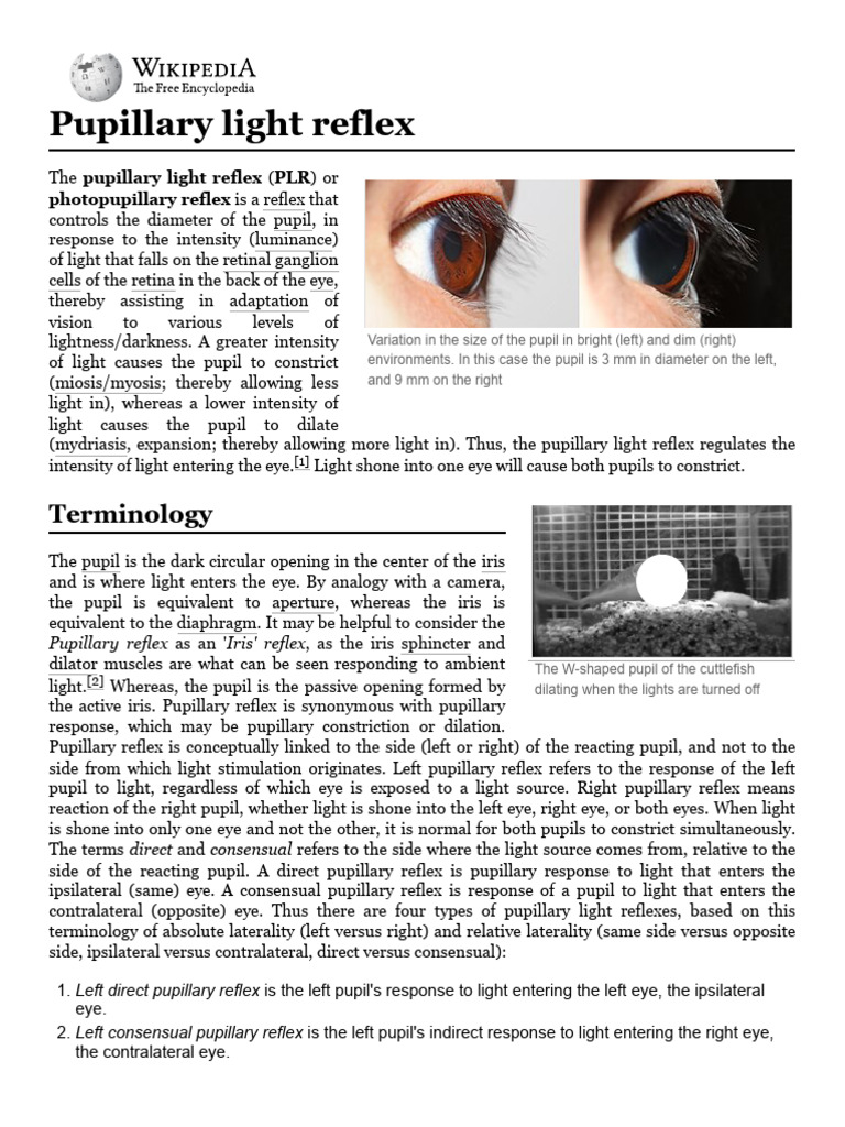 Pupillary Light Reflex - Wikipedia - Https - en - Wikipedia.org - Wiki ...