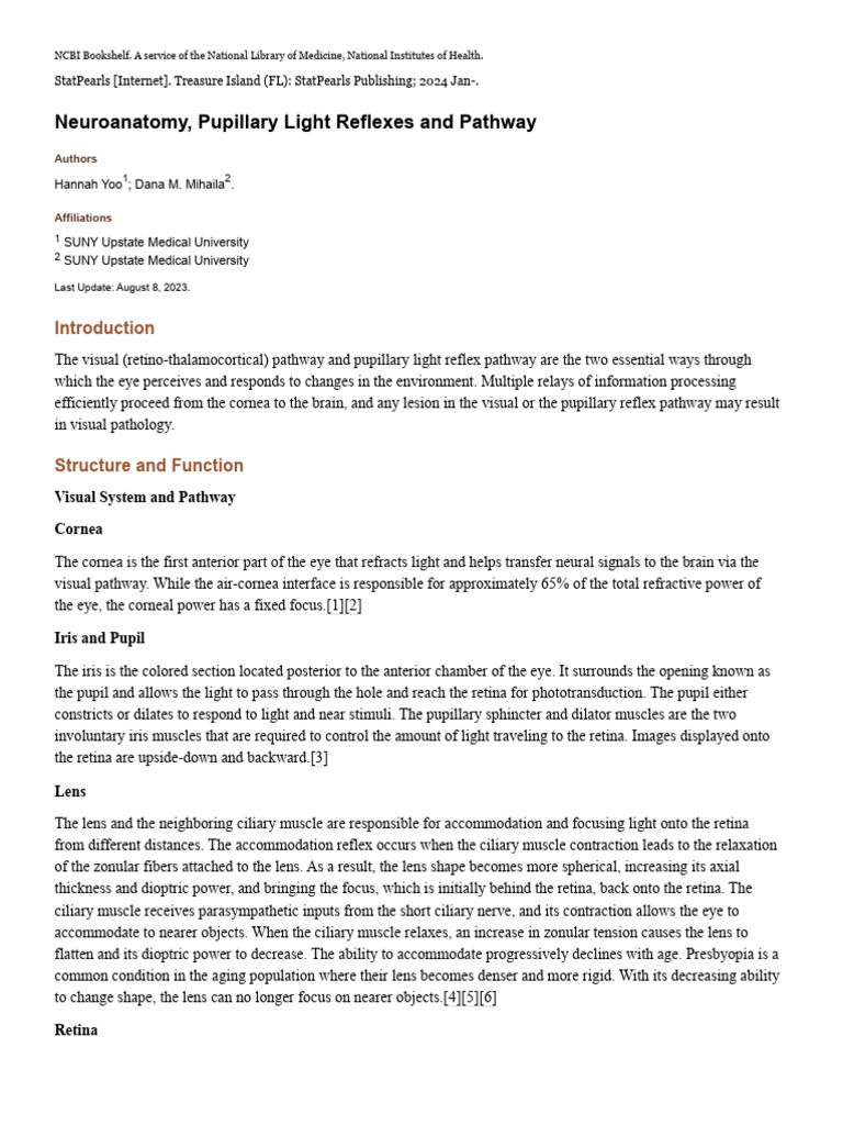 Neuroanatomy, Pupillary Light Reflexes and Pathway | PDF | Retina ...