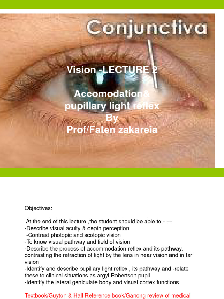 12 - Vision, Accomodation & Pupillary Light Reflex | PDF