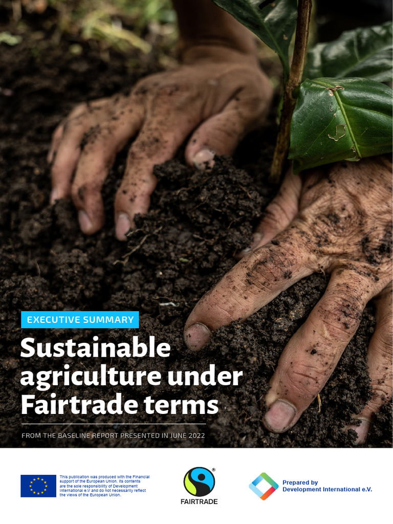 Sustainable Agriculture Executive Summary | PDF | Sustainability ...