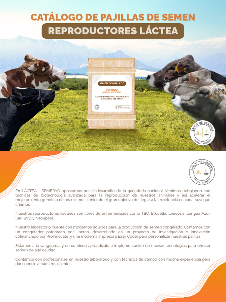 CATALOGO REPRODUCTORES HO BS Web | PDF