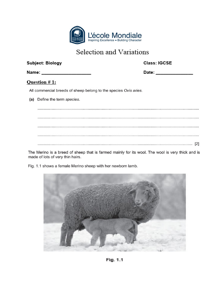 Selection and Variations | PDF