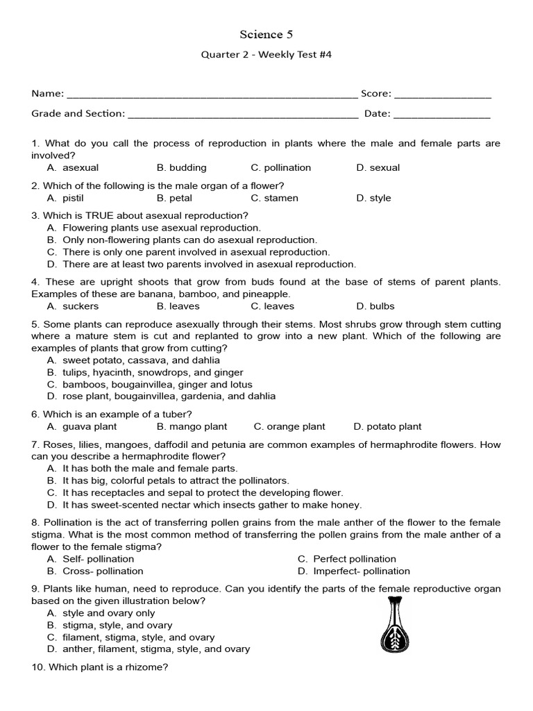 Plant Reproduction Quiz for Grade 5 | PDF | Flowers | Plant Reproduction